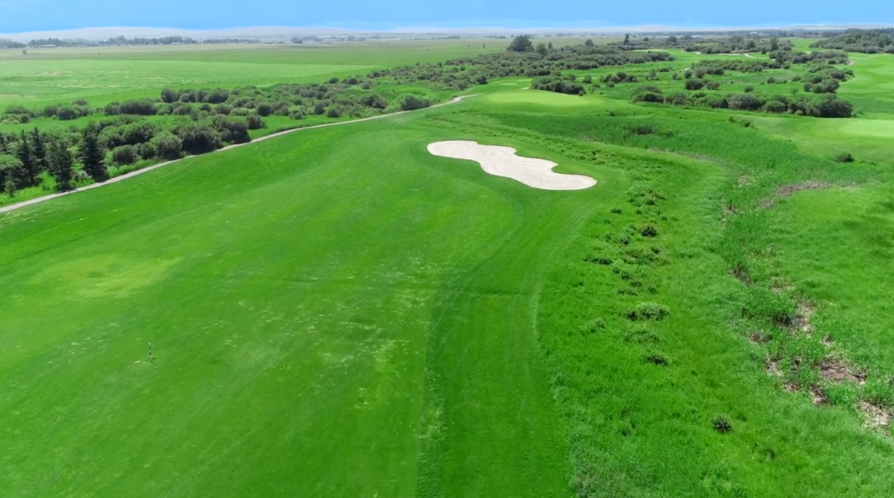 Cattails - River Spirit Golf